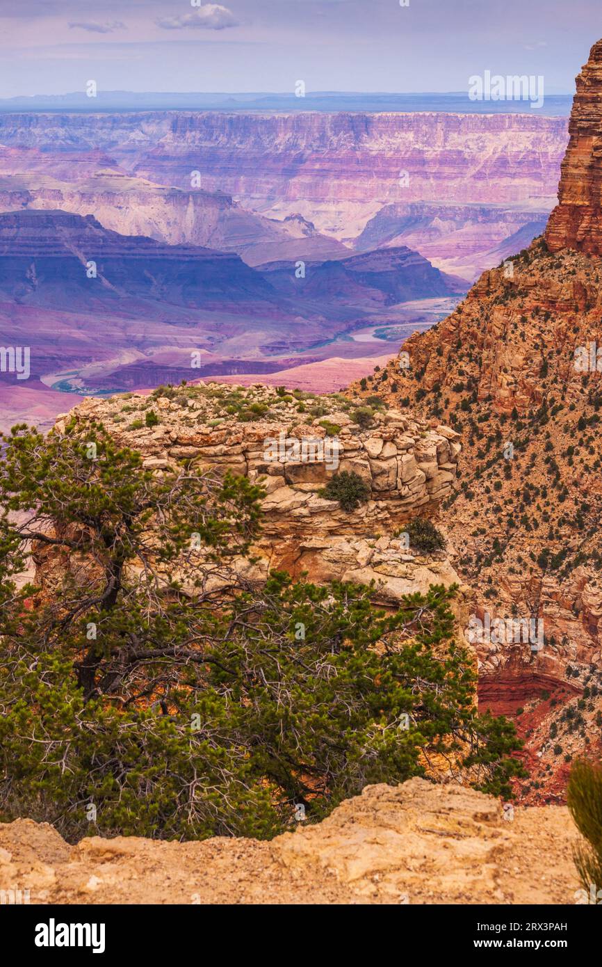 Colorado River winding through the Grand Canyon at Grand Canyon ...