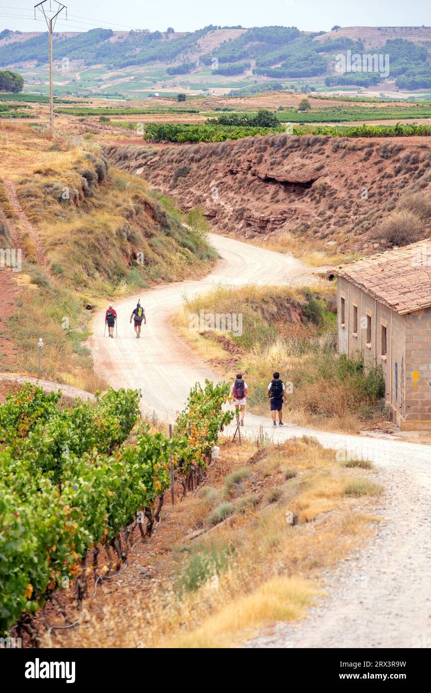 Pilgrims walking the Camino de Santiago pilgrimage route, the way of St ...