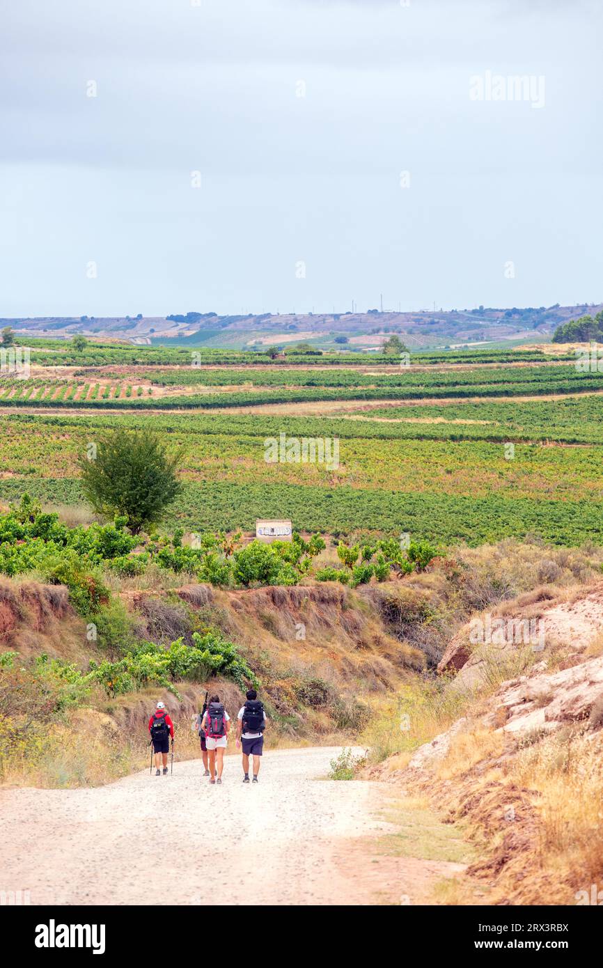 Pilgrims walking the Camino de Santiago pilgrimage route, the way of St ...