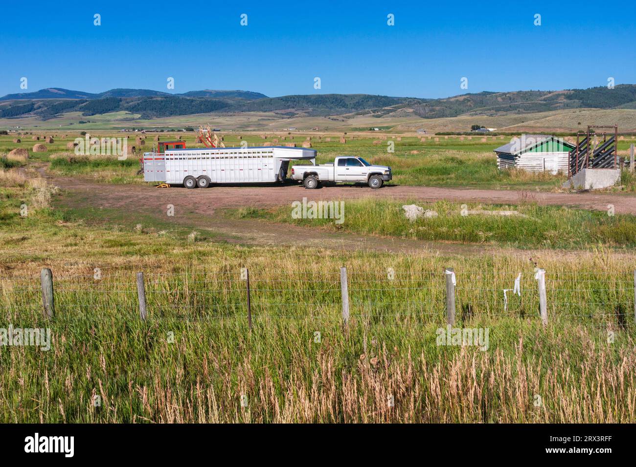 Hay bales and hay farming in southwestern Wyoming Stock Photo - Alamy