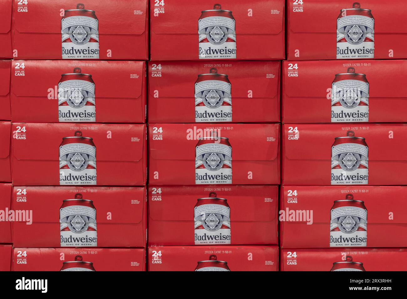 Kokomo - September 22, 2023: Budweiser beer display. Budweiser is part ...