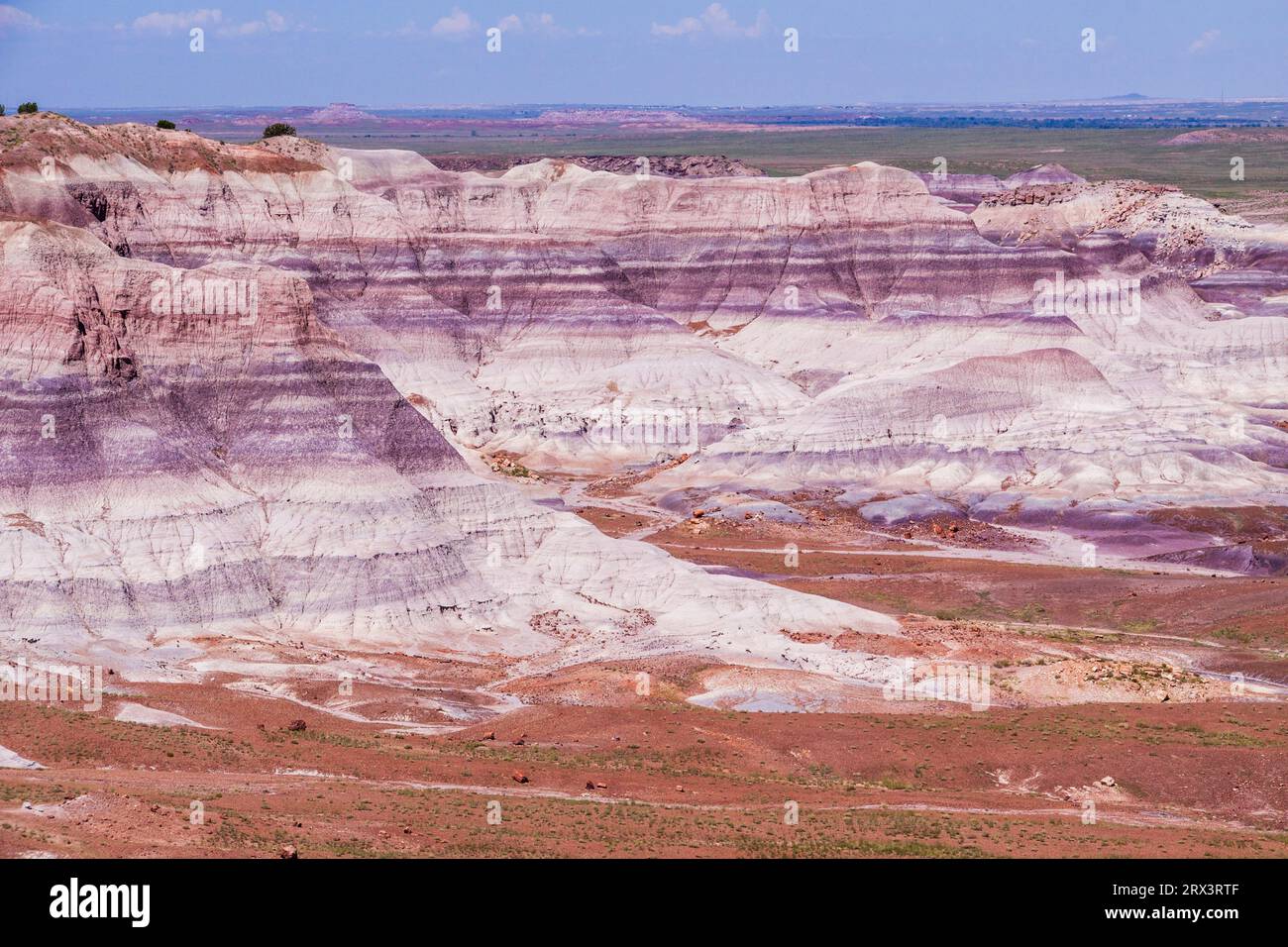 Blue Mesa area of the Painted Desert in the Petrified Forest National ...