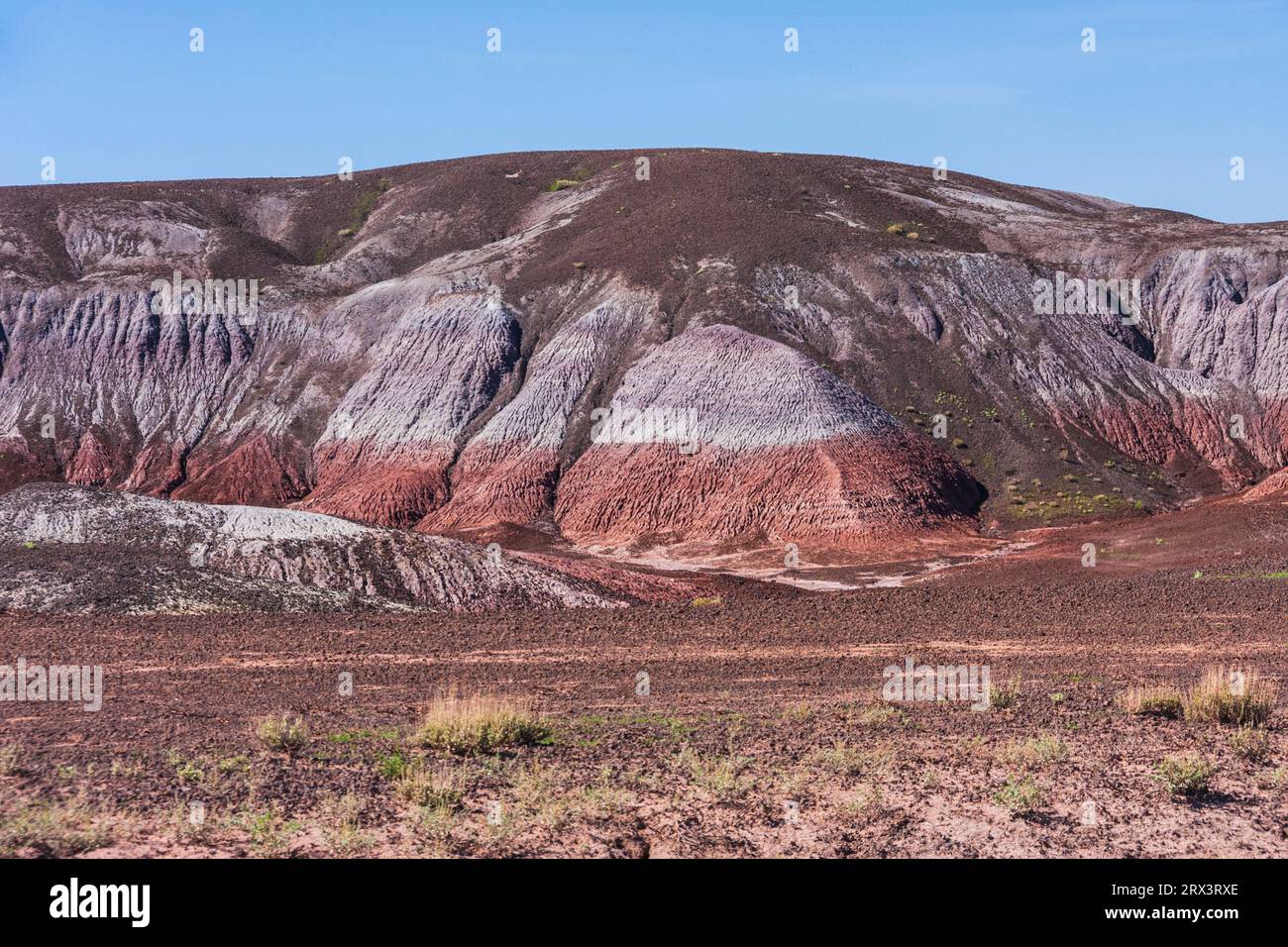 Painted Desert landscapes in the Petrified Forest National Park in ...