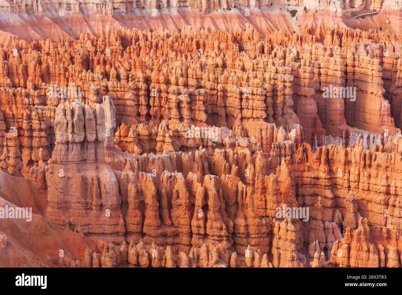 Evening light just before sunset on hoodoos and formations at ...