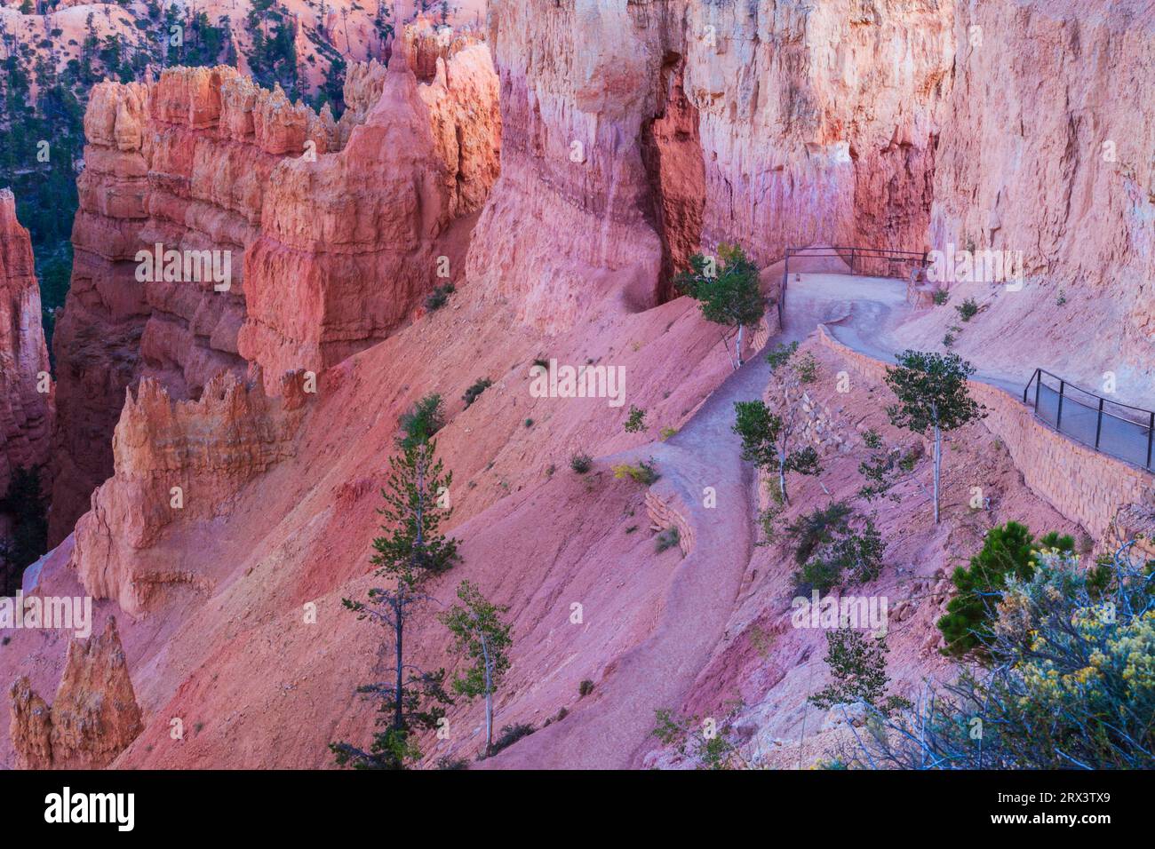 Sunset lighting at Sunset Point in Bryce Canyon National Park in Utah ...