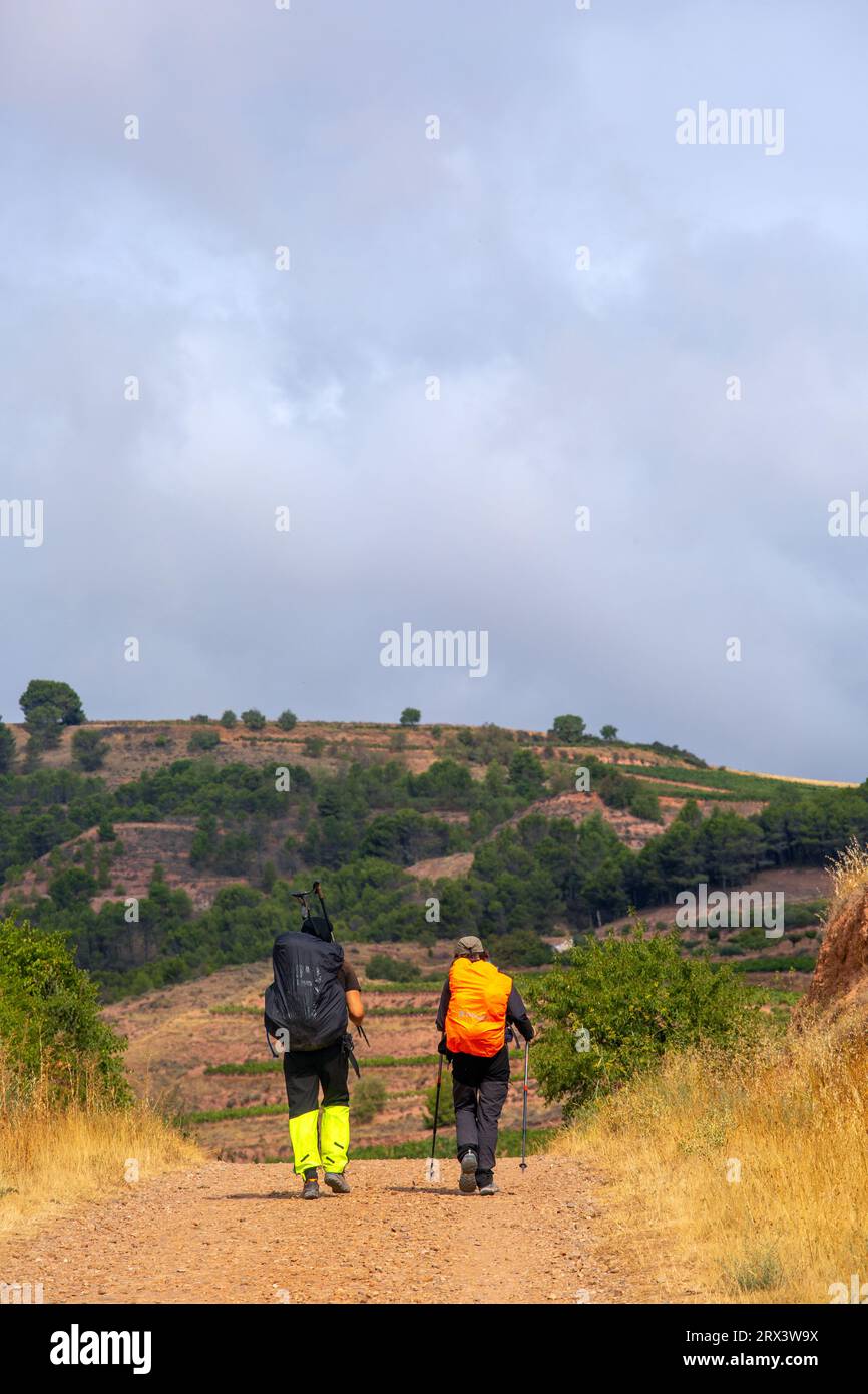 Pilgrims walking the Camino de Santiago pilgrimage route, the way of St ...