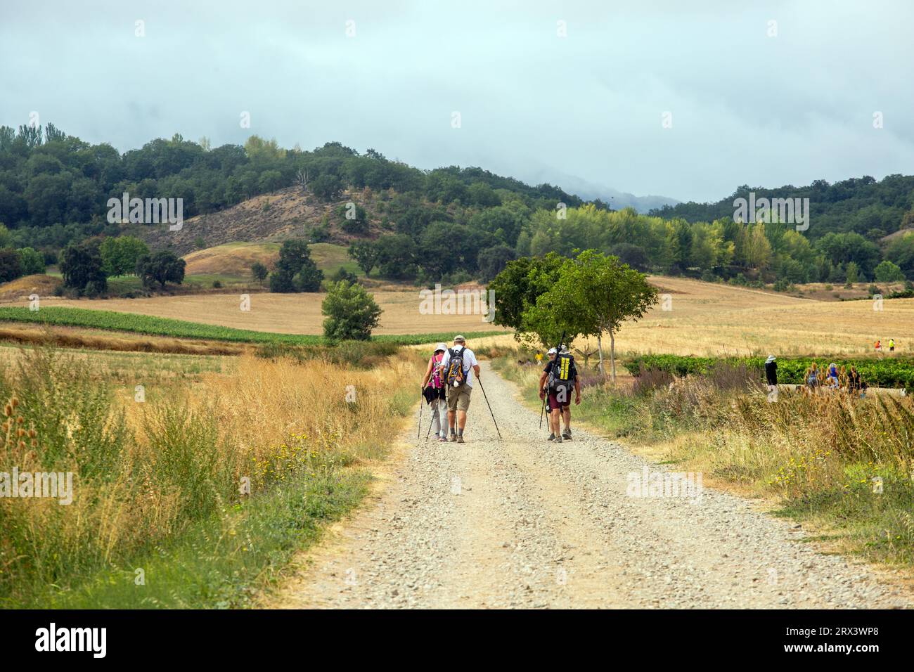 Pilgrims walking the Camino de Santiago pilgrimage route, the way of St ...