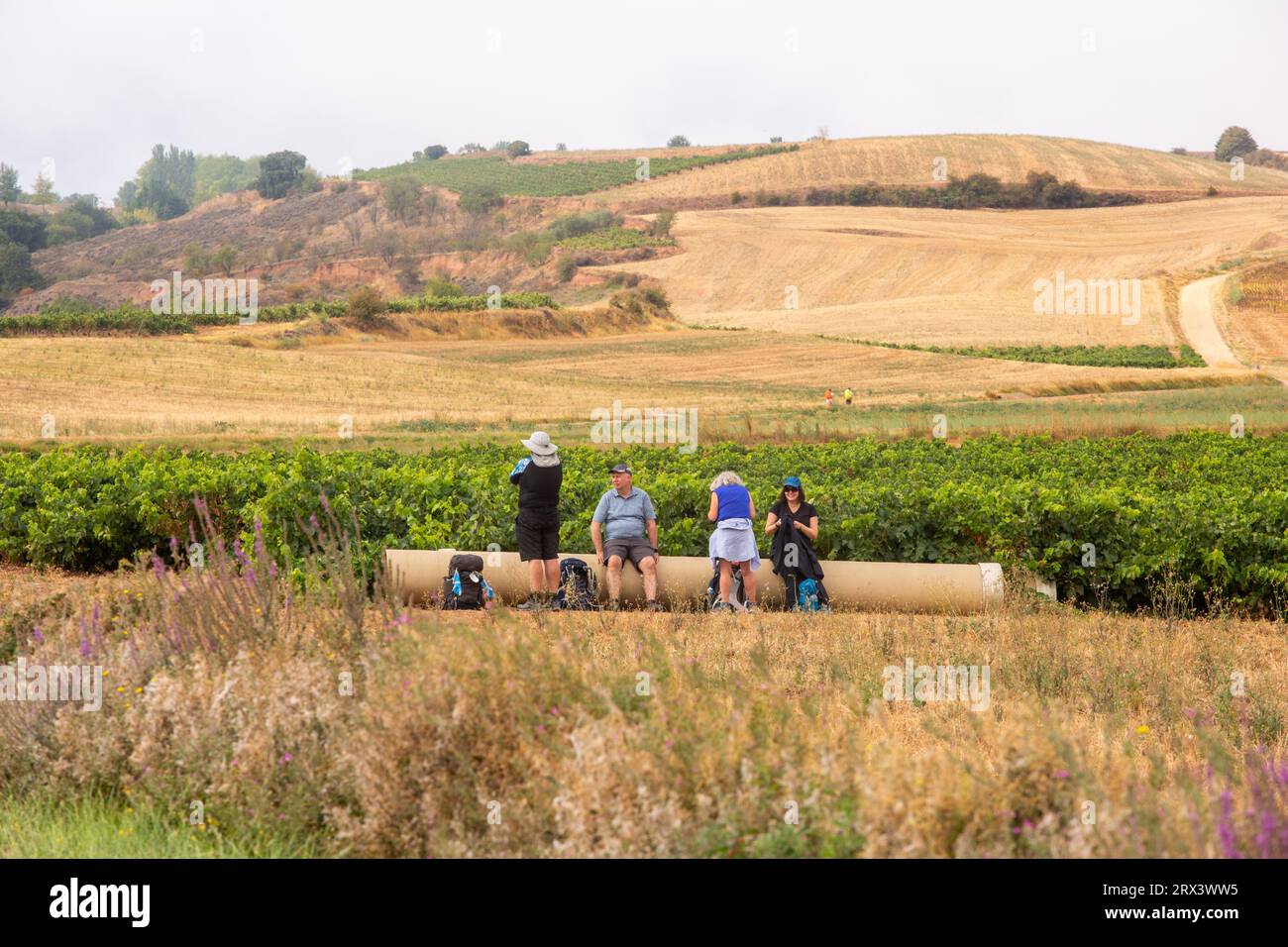 Pilgrims walking the Camino de Santiago pilgrimage route, the way of St ...