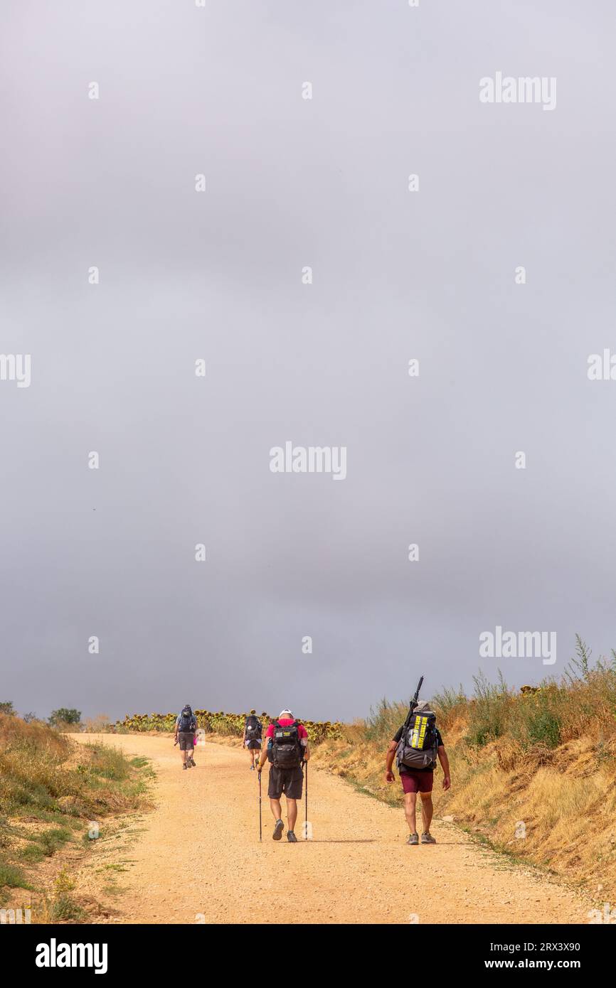 Pilgrims walking the Camino de Santiago pilgrimage route, the way of St ...
