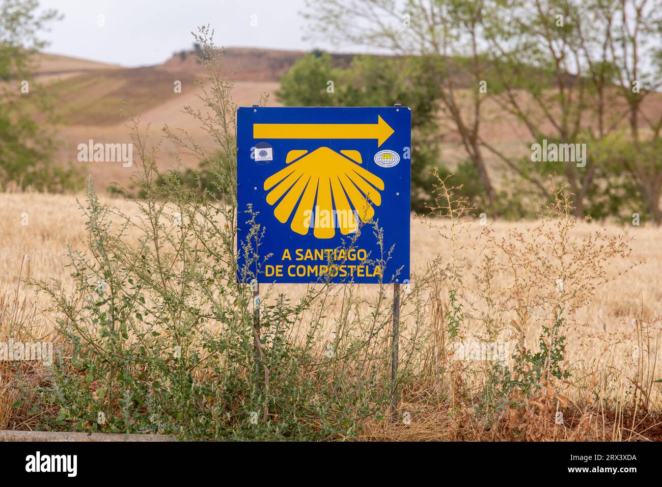 Direction sign post waymarker on the Camino de Santiago the way of St ...