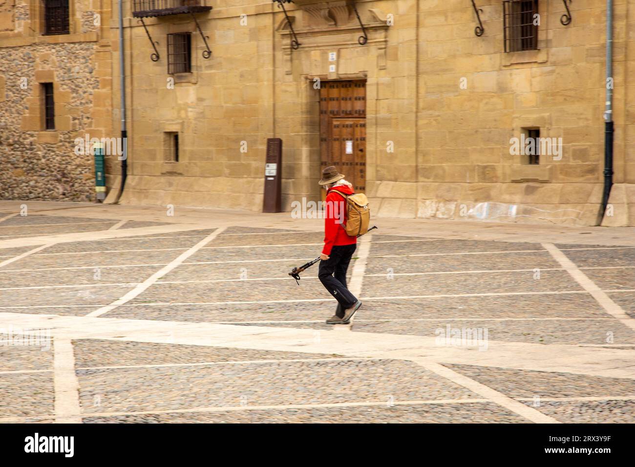 Pilgrims walking the Camino de Santiago, the way of St James ...