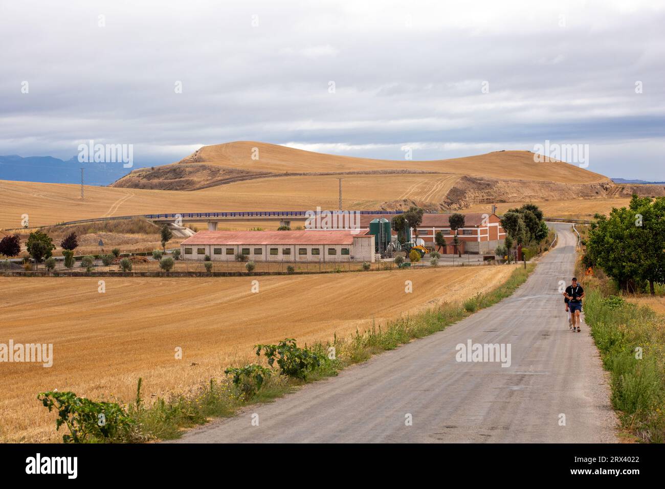 Pilgrims walking the Camino de Santiago pilgrimage route, the way of St ...