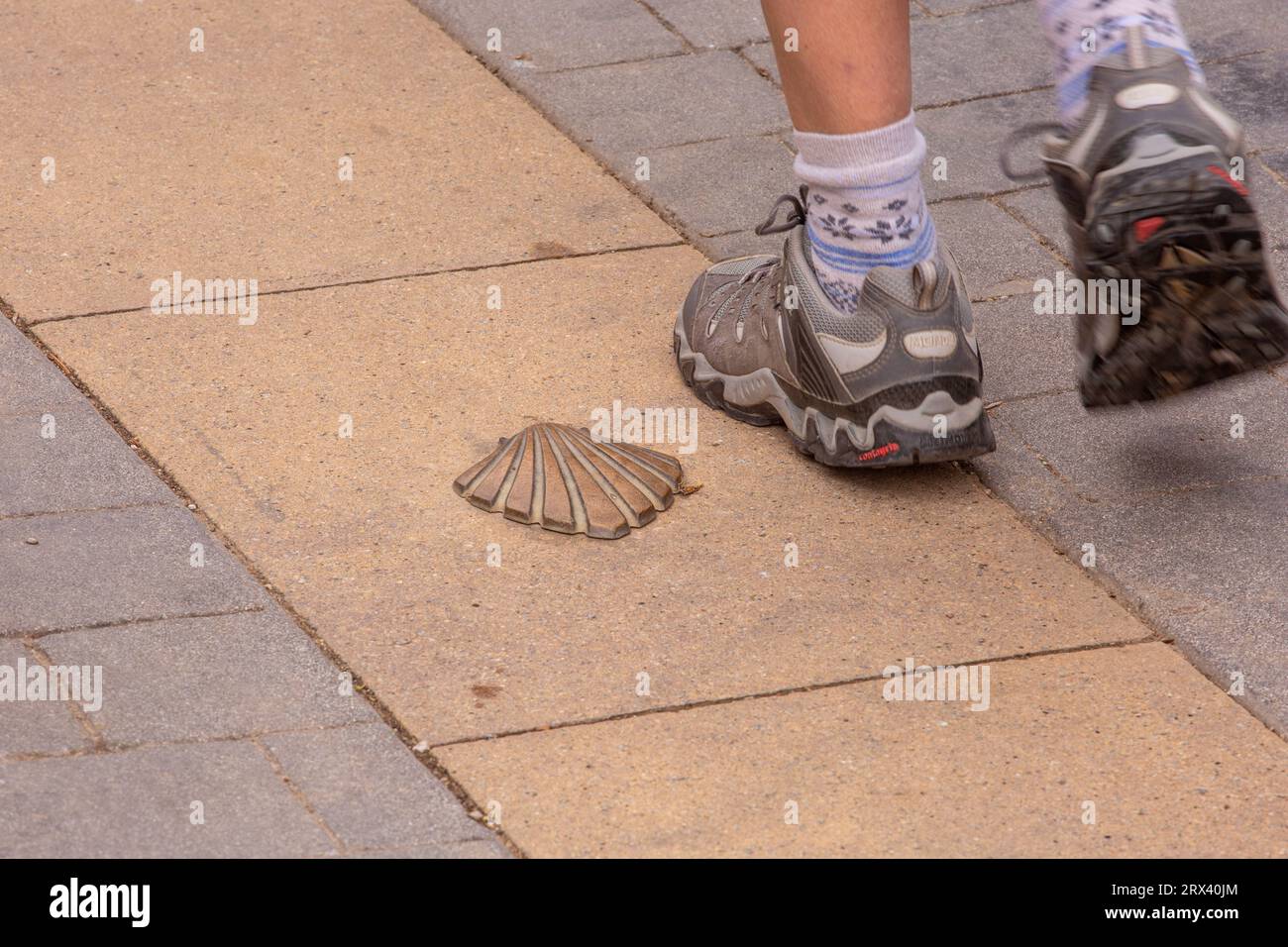 Pilgrim walking past a scallop shell set in the road while waking the ...