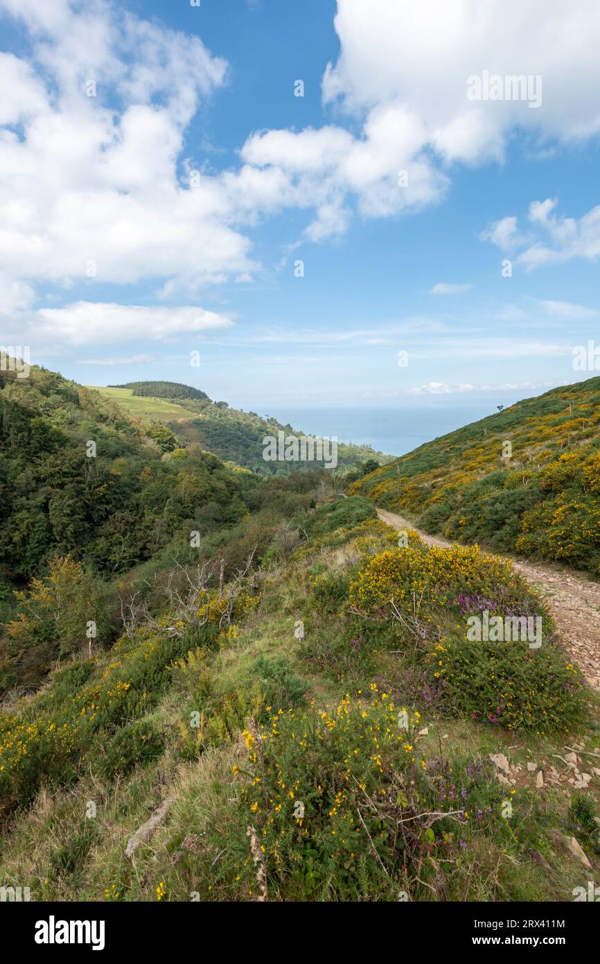 Photo of the footpath leading down to Glenthorne beach in Exmoor ...