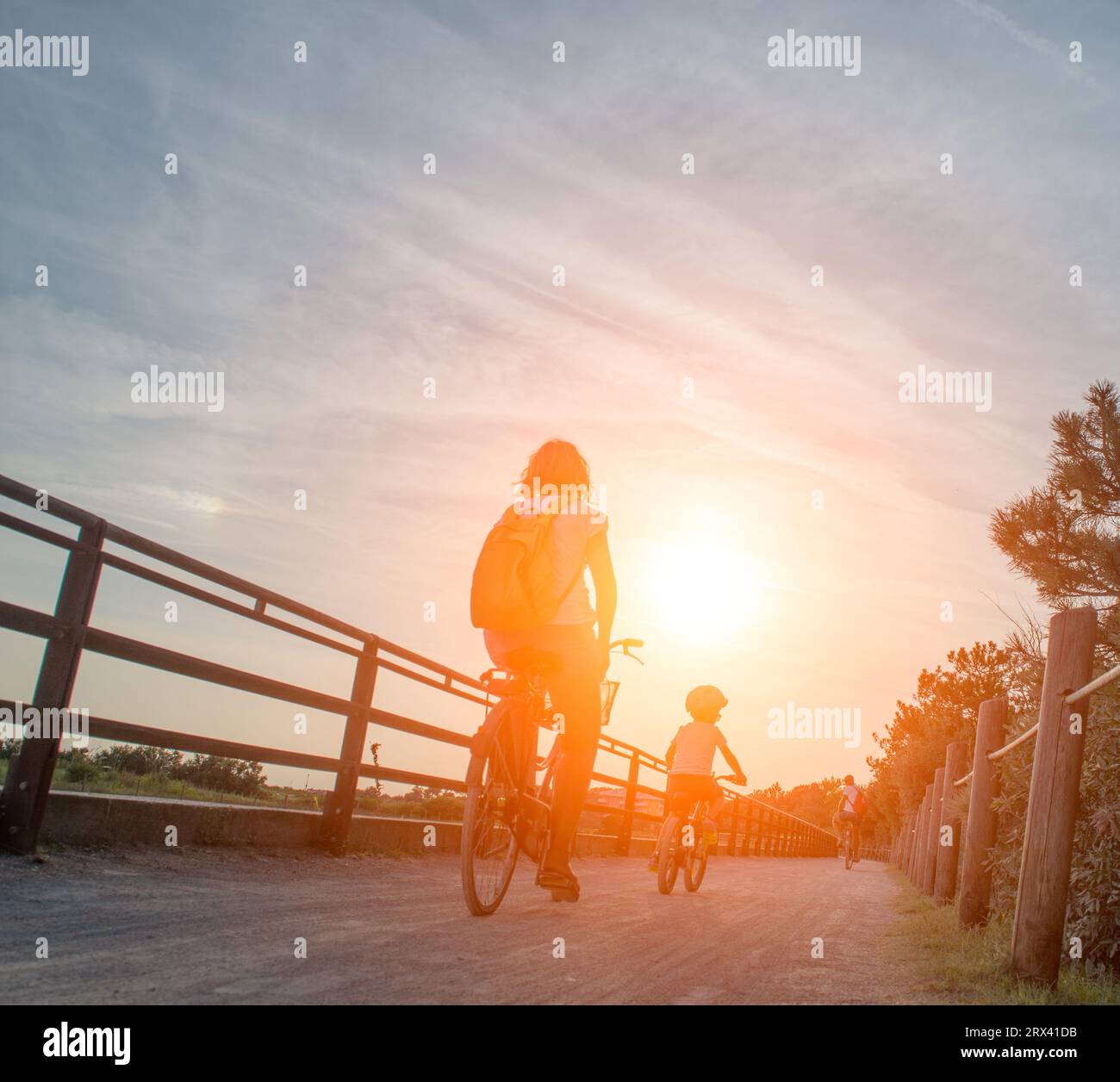 Cycling on the bike path at sunset Stock Photo - Alamy