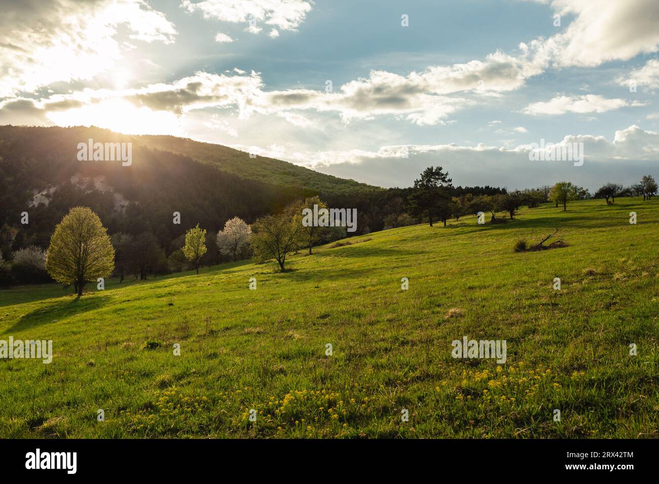 Peaceful scenery hi-res stock photography and images - Alamy