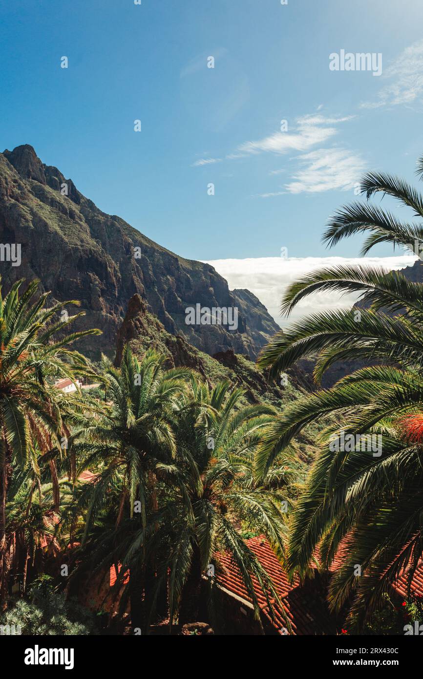 Vertical photo of beautiful Masca village of Tenerife, Spain. Panoramic ...