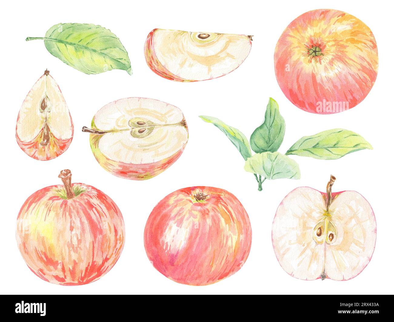 Clipart hand painted red apples and green leaves. Watercolor botanical ...