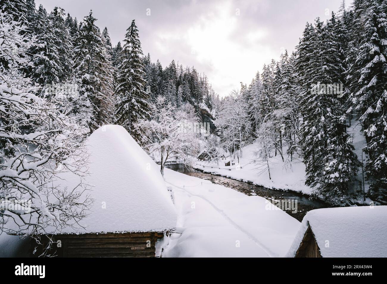 Snow covered and frozen wooden cabins in the middle of mountain (forest ...