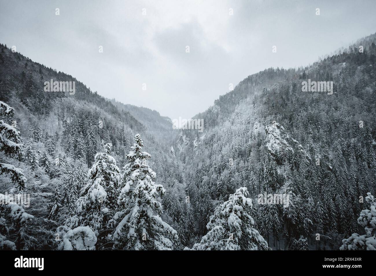 Beautiful and giant snowy mountains in misty and foggy weather - winter ...