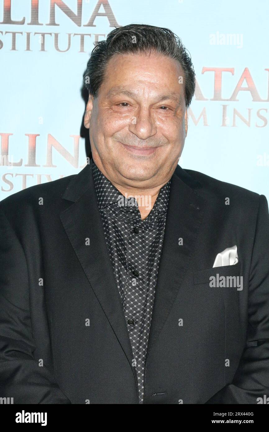 LOS ANGELES - SEP 20: Ronald Jacobs at the 13th Catalina Film Festival ...