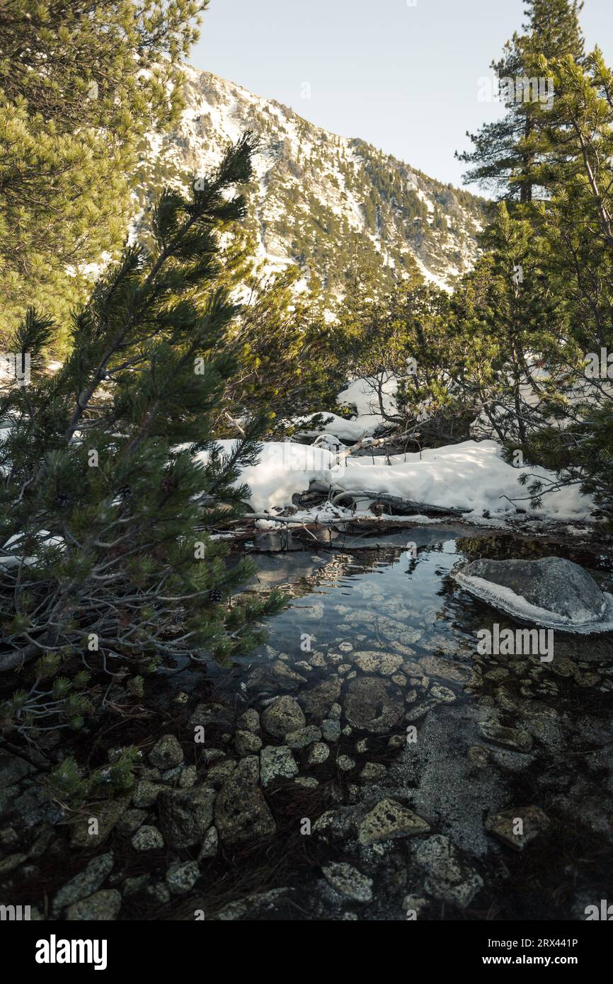 Vertical photo of river (stream) flowing in mountains with big snowy ...