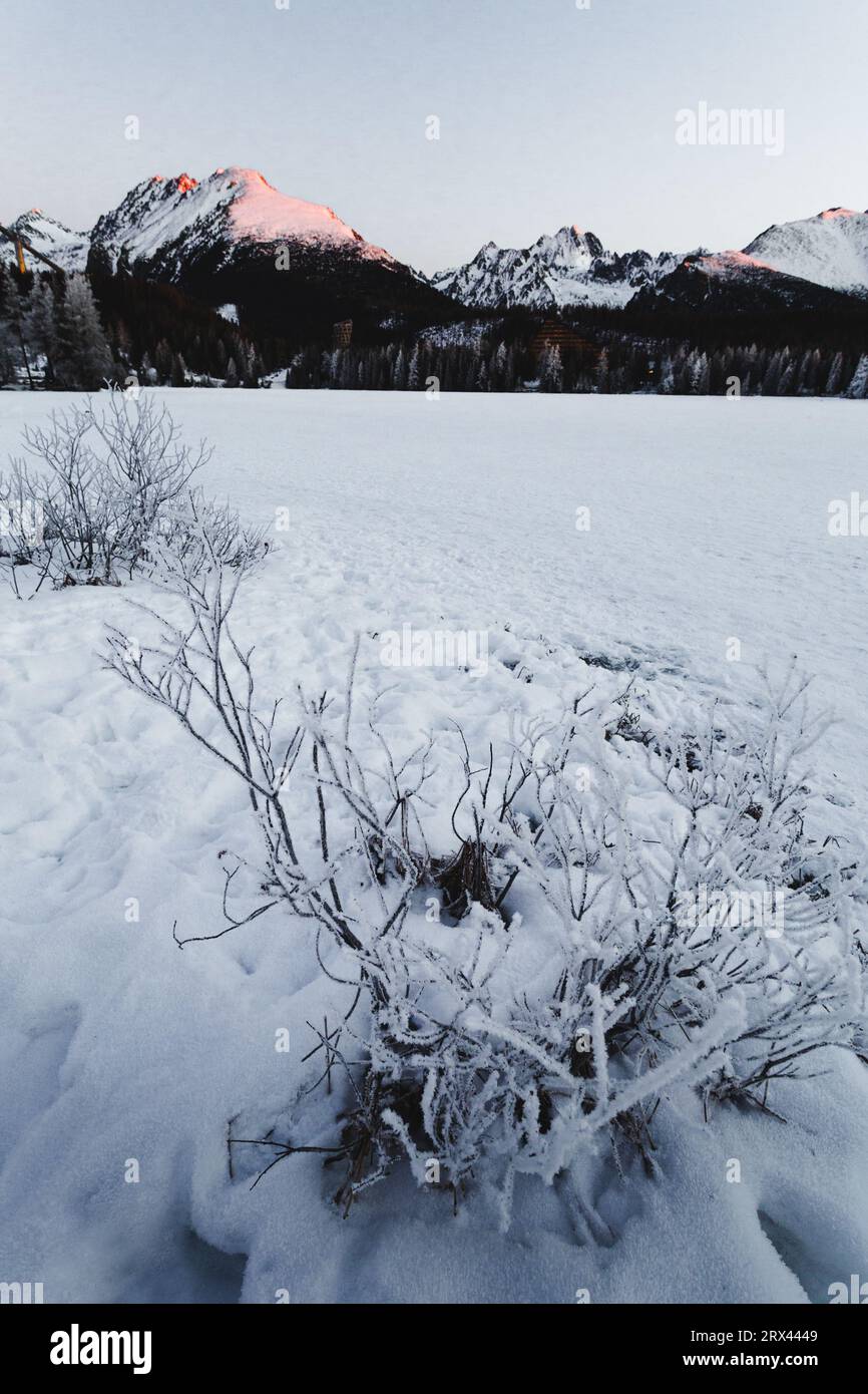 Strba tarn hi-res stock photography and images - Alamy