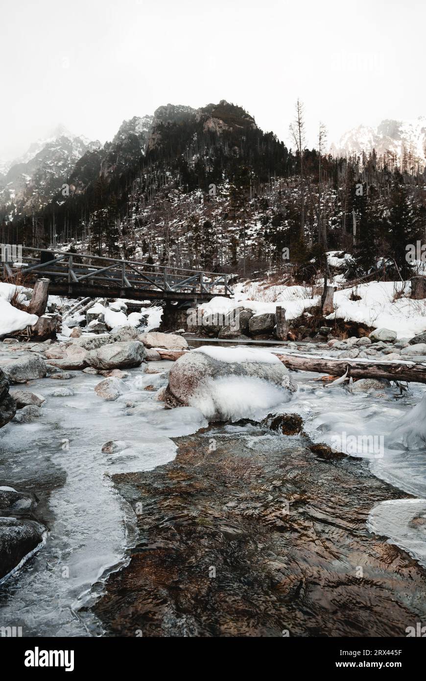 Vertical photo of river (stream) flowing in mountains with big snowy ...