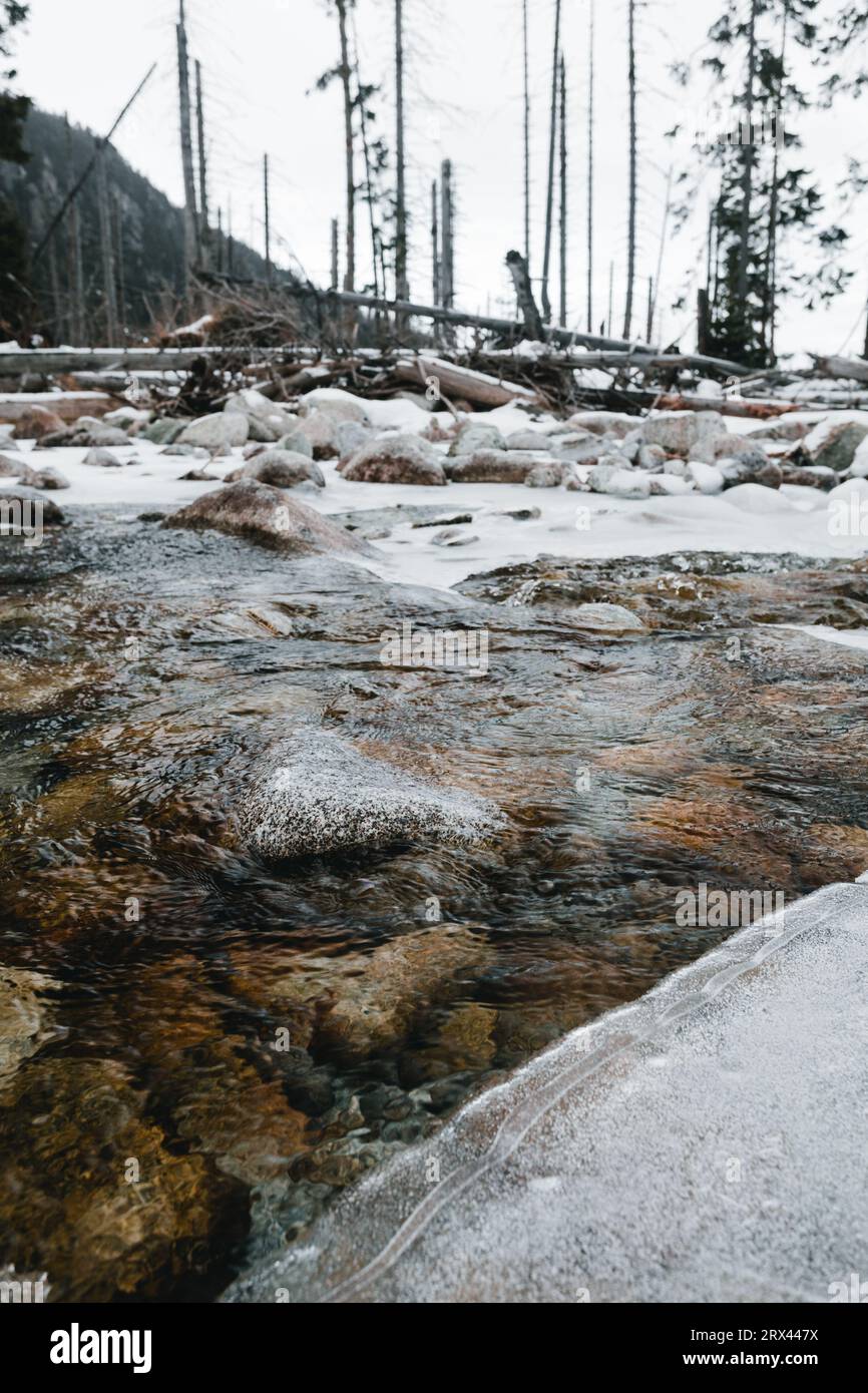 Vertical photo of river (stream) flowing in mountains with big snowy ...