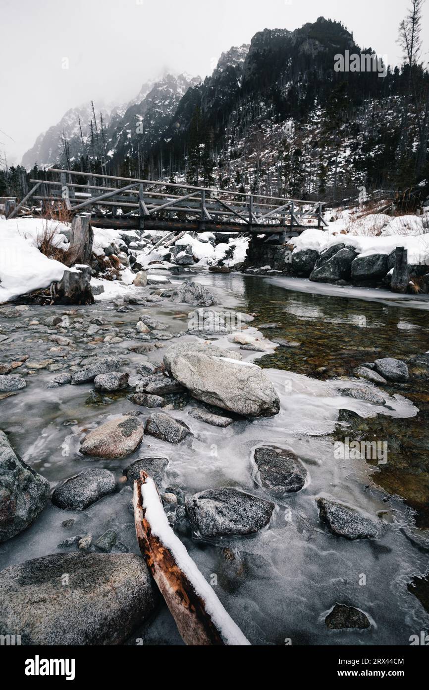 Vertical photo of river (stream) flowing in mountains with big snowy ...