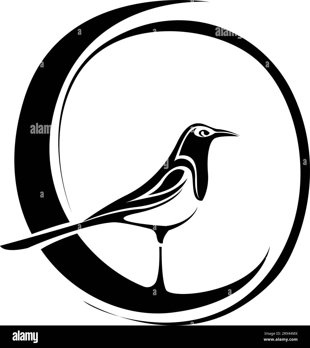 Magpie bird tattoo, tattoo illustration, vector on a white background ...