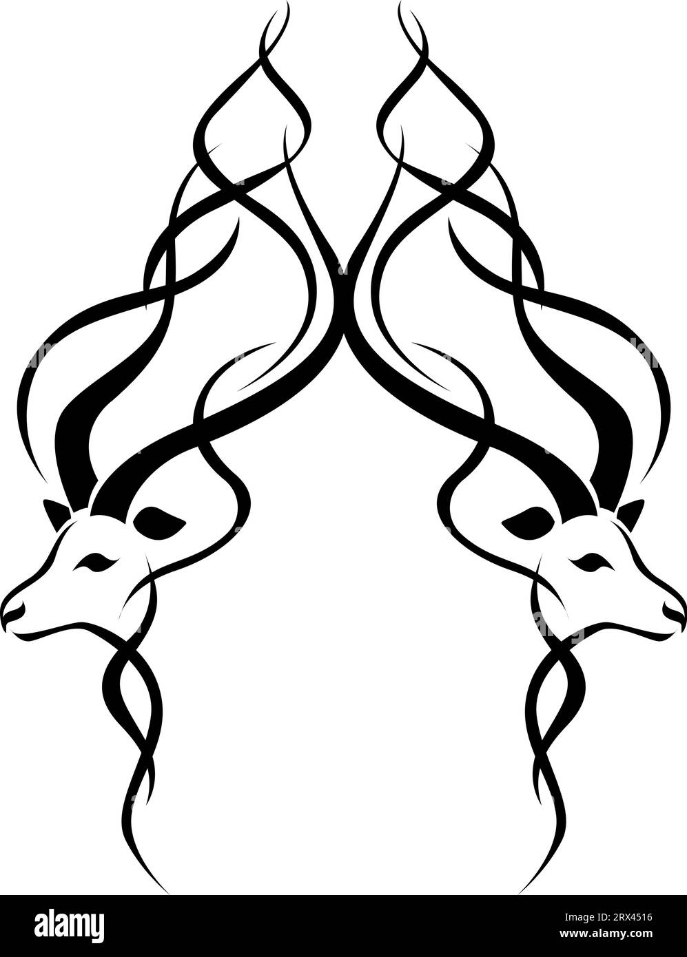 Head wild deer horn hi-res stock photography and images - Alamy