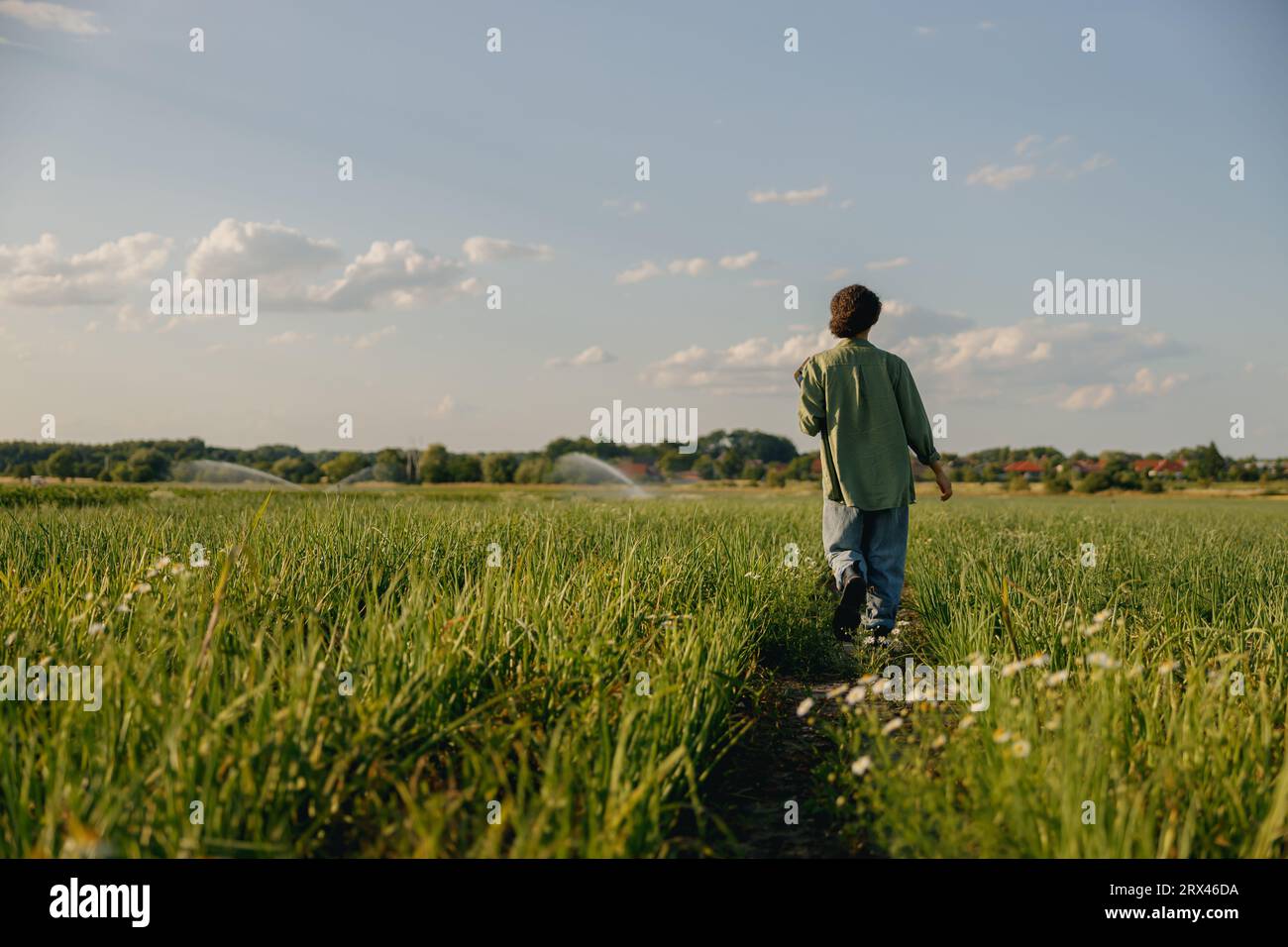 Farmer walks back across field hi-res stock photography and images - Alamy