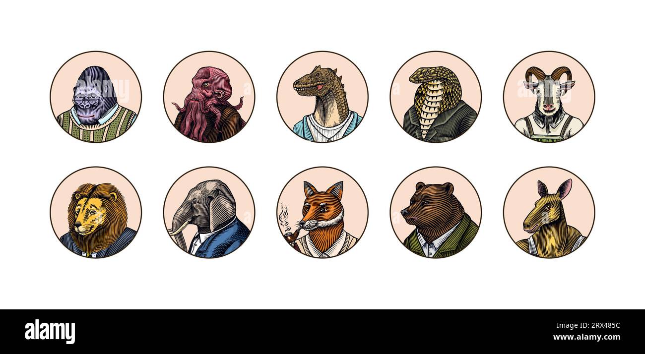 Grizzly Bear, Octopus, t-rex dinosaur, Elephant, Indian cobra snake ...