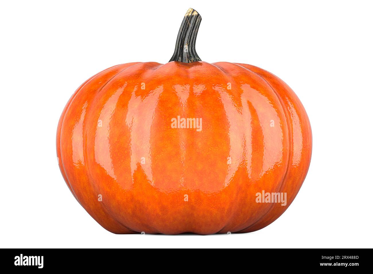 Pumpkin, front view. 3D rendering isolated on white background Stock ...