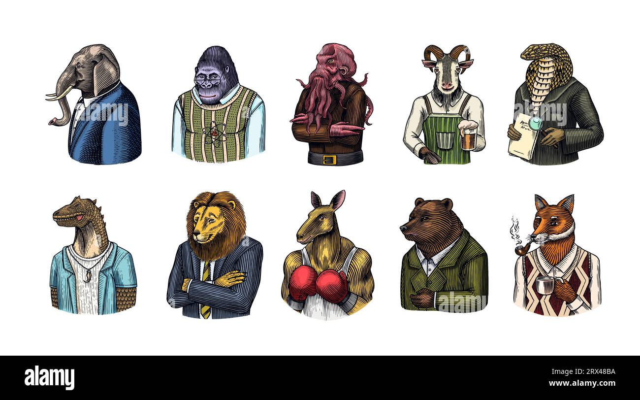 Grizzly Bear, Octopus, t-rex dinosaur, Elephant, Indian cobra snake ...