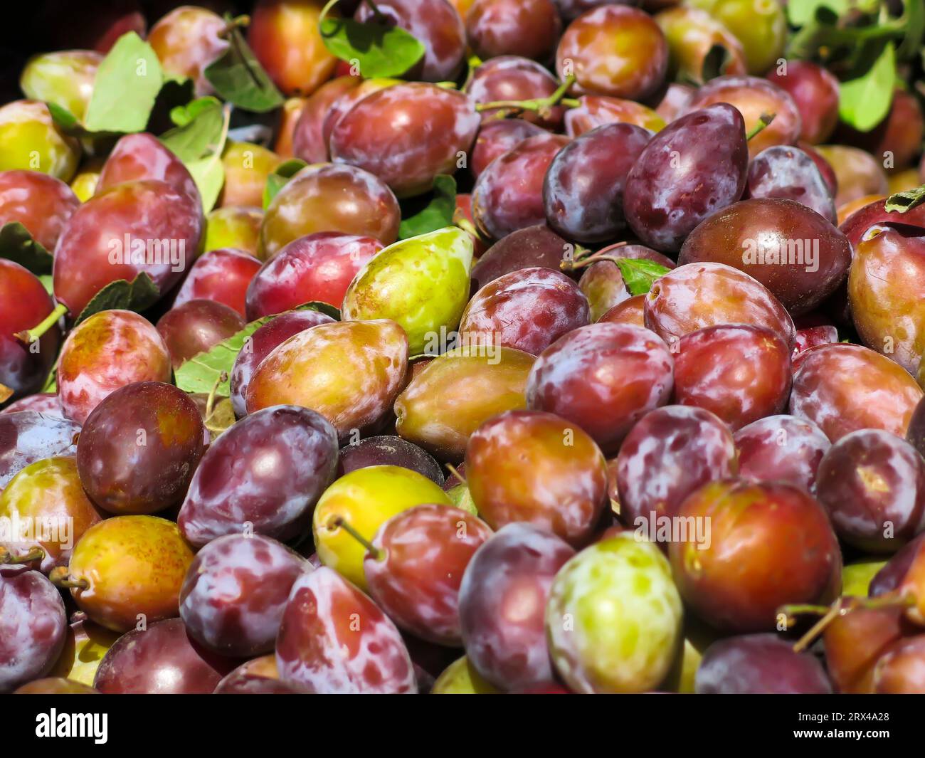 Produce purchase hi-res stock photography and images - Alamy