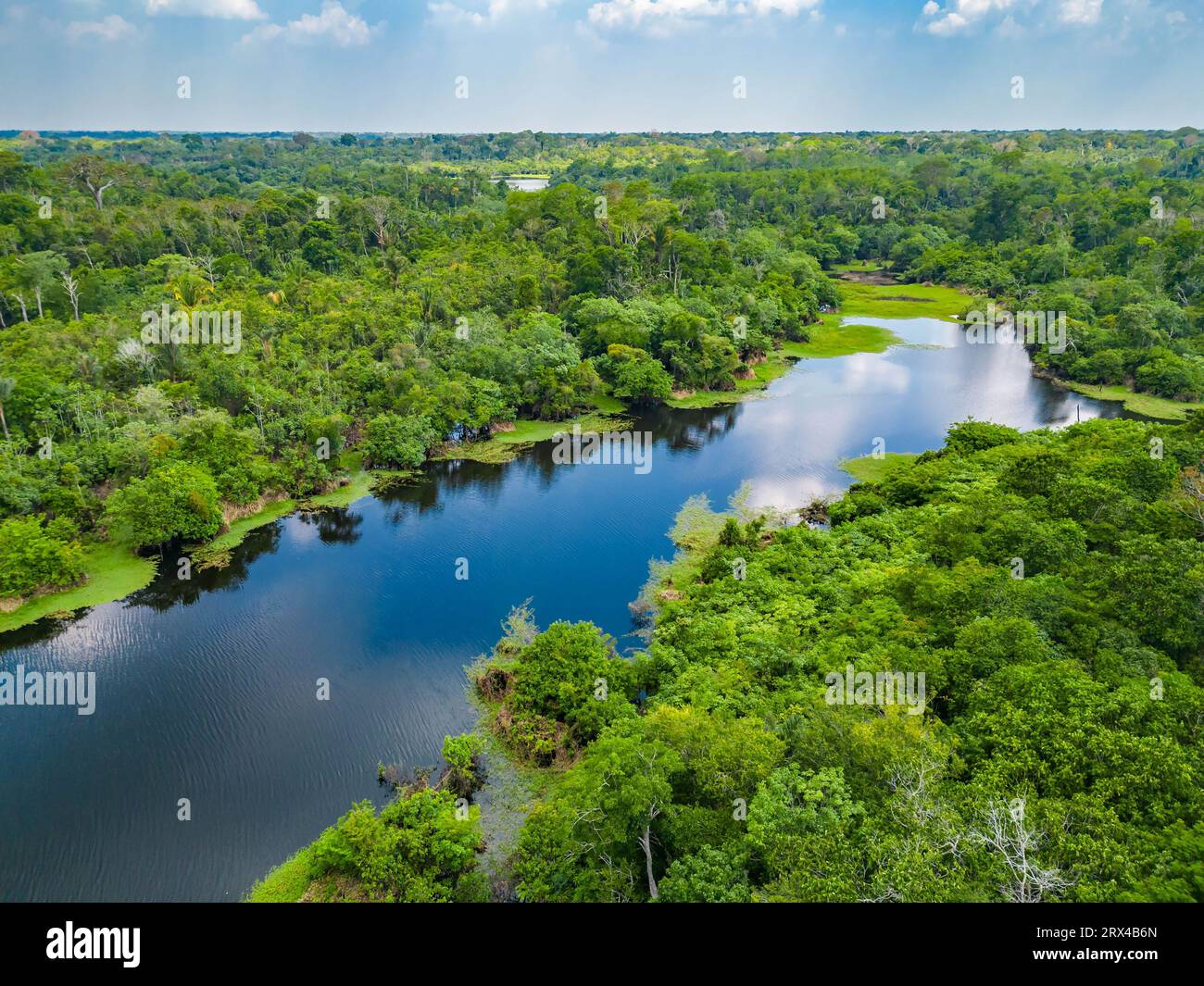 Scenic aerial view of rainforest river jungle in Amazonas Brazil in ...