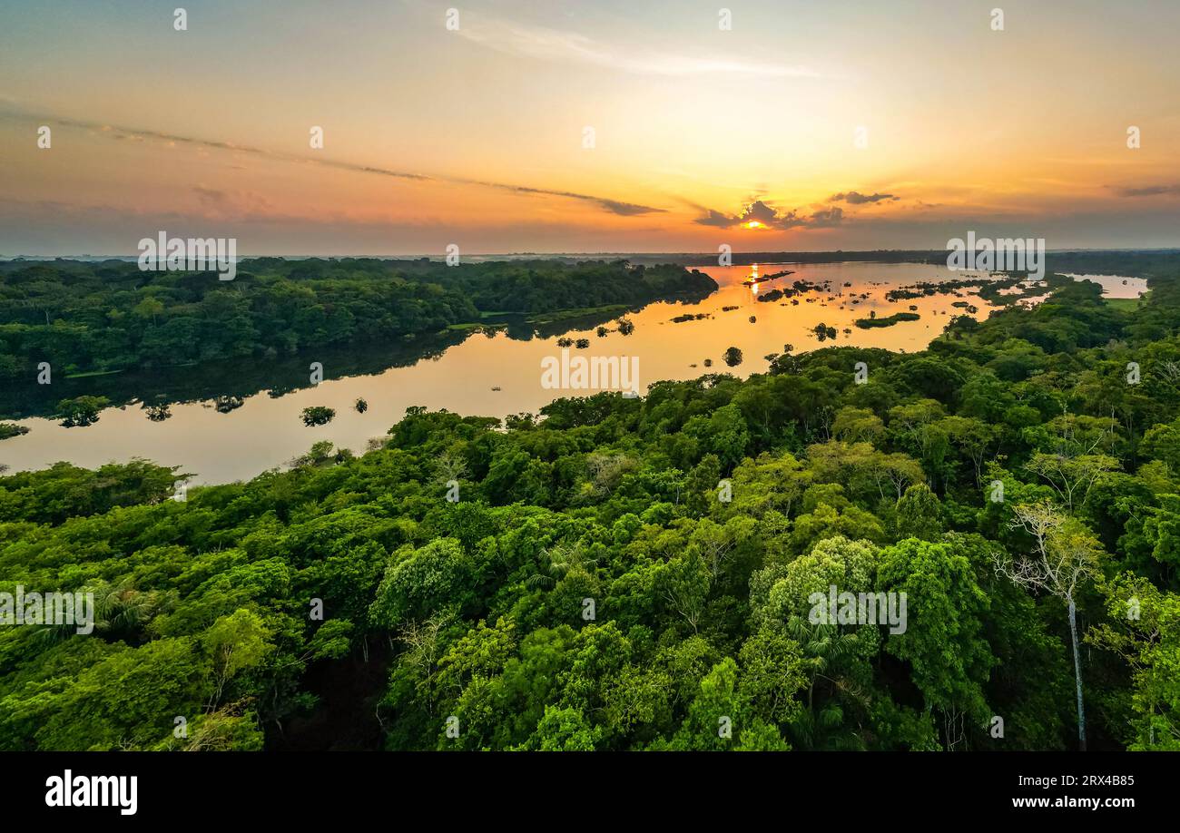 Scenic aerial sunset view of rainforest water jungle in Amazonas state ...