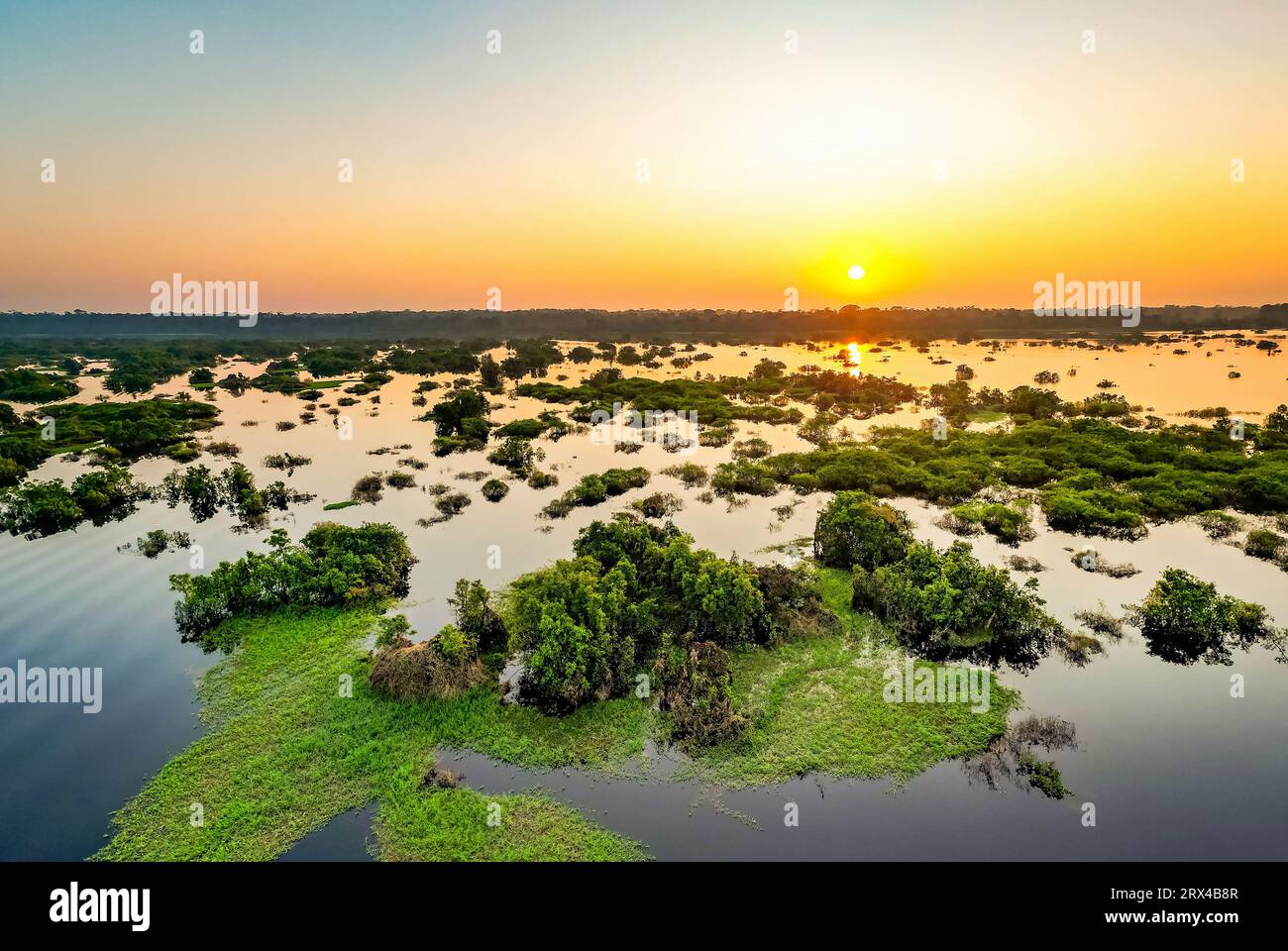 Scenic aerial sunset view of rainforest water jungle in Amazonas state ...