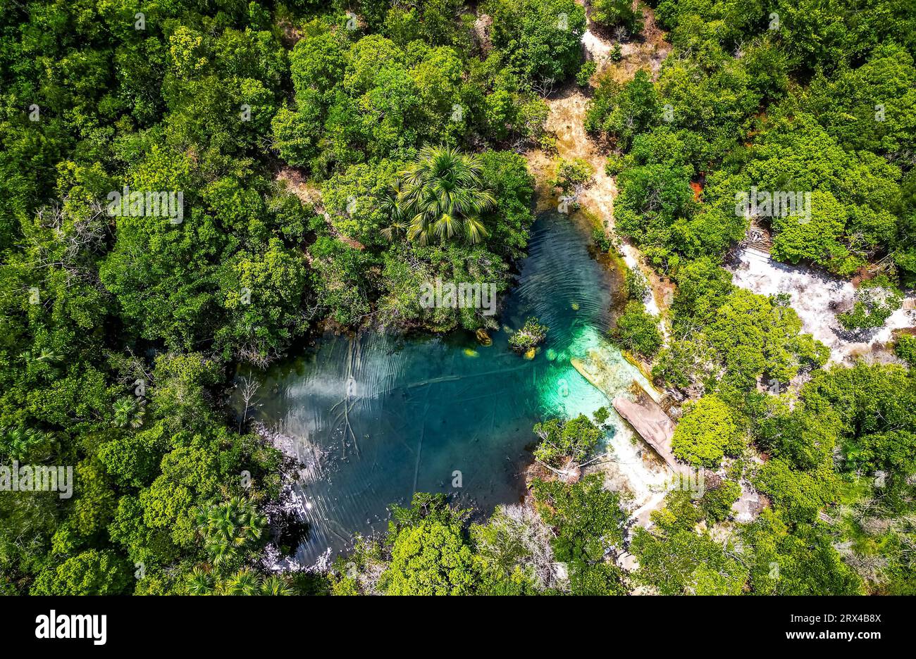 Aerial view of the tropical Crystalline Lagoon at Presidente Figueiredo Amazonas Brazil Stock ...