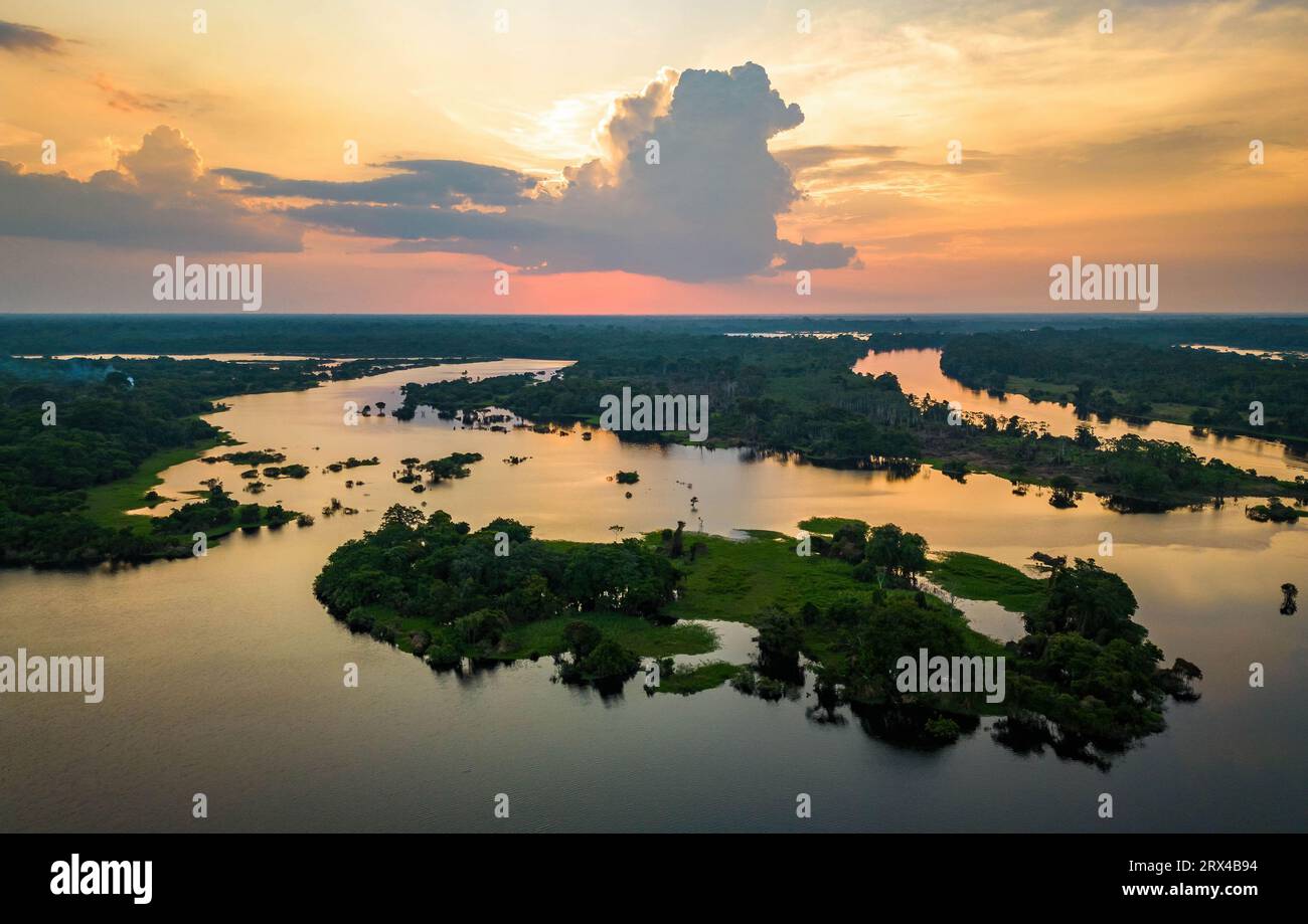 Scenic aerial sunset view of rainforest water jungle in Amazonas state ...