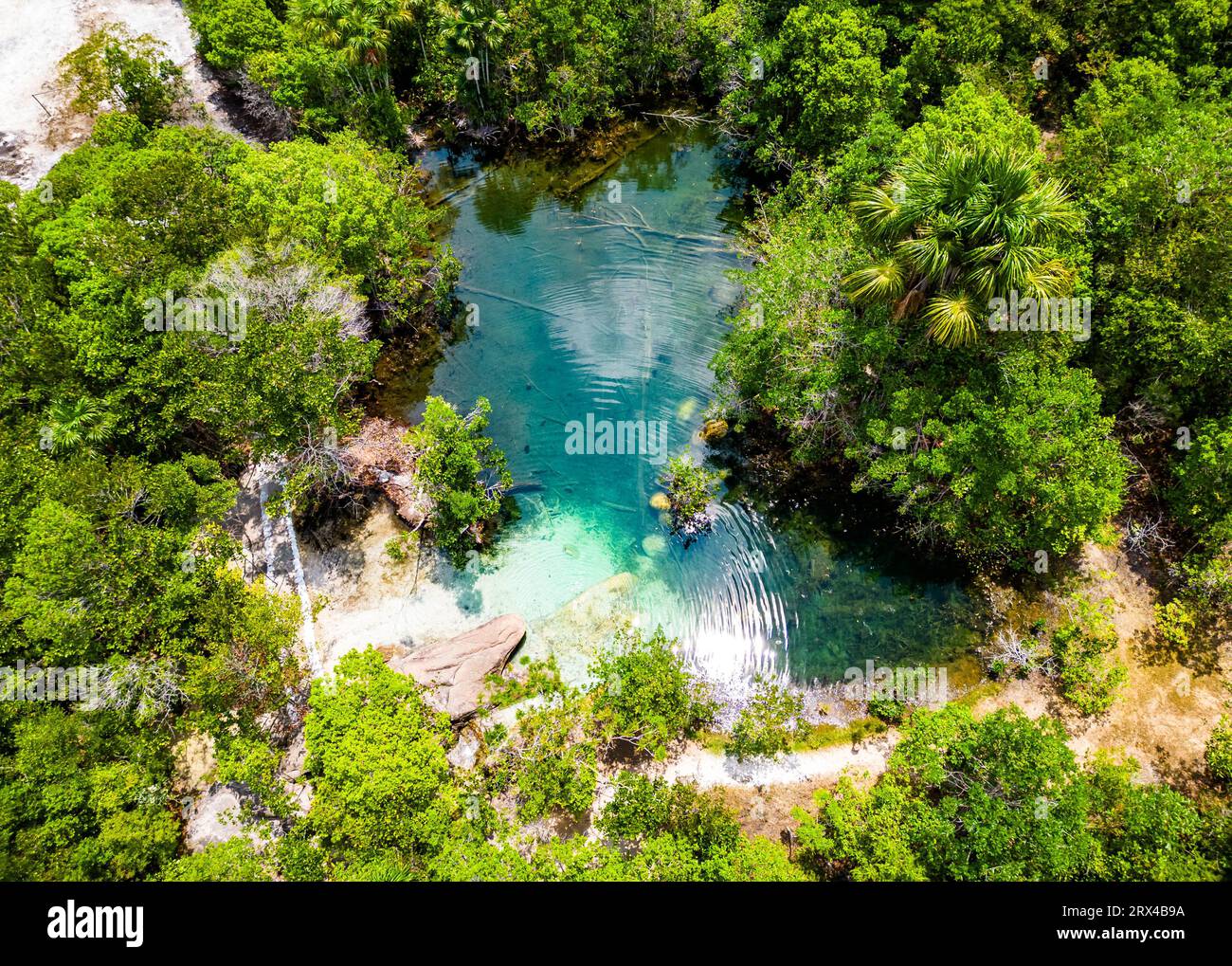 Aerial view of the tropical Crystalline Lagoon at Presidente Figueiredo Amazonas Brazil Stock ...