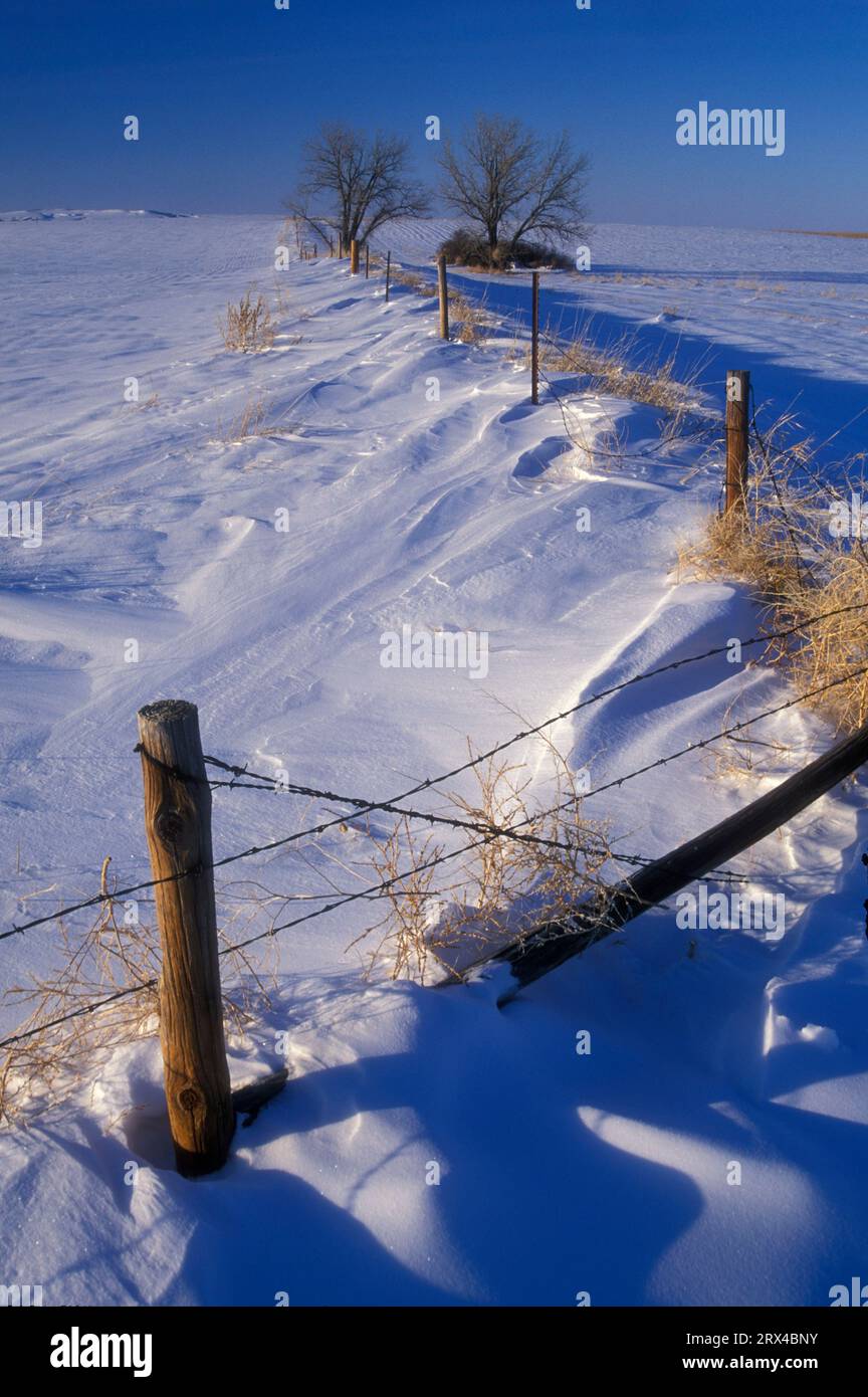 Ranch fenceline in snow hi-res stock photography and images - Alamy