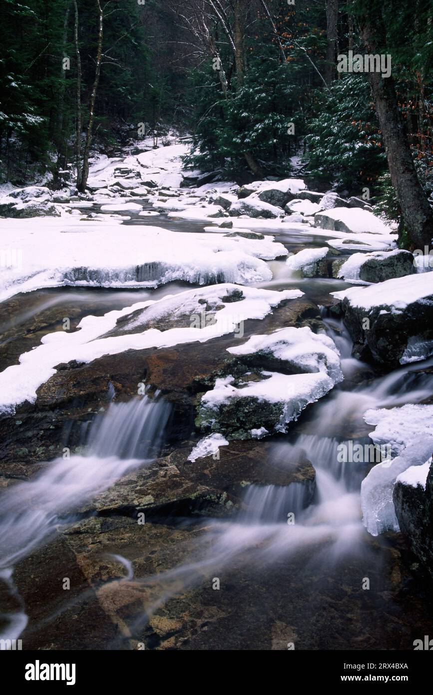 Cascade Brook, Franconia Notch State Park, New Hampshire Stock Photo ...