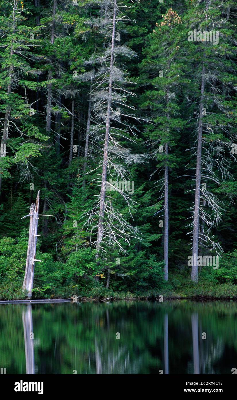 Falls Pond, Kancamagus Highway National Scenic Byway, White Mountain ...
