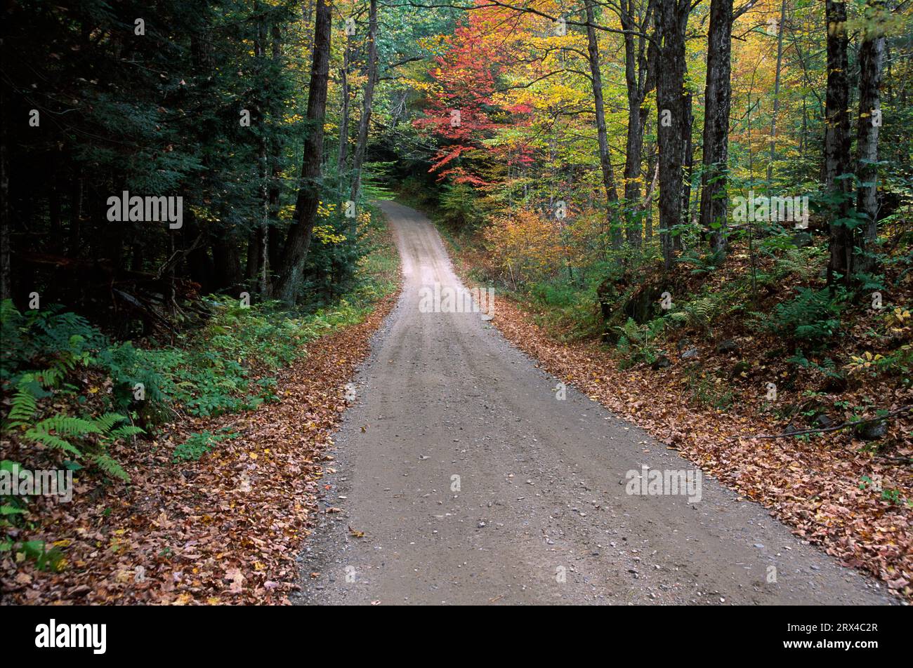 Pisgah state park hi-res stock photography and images - Alamy
