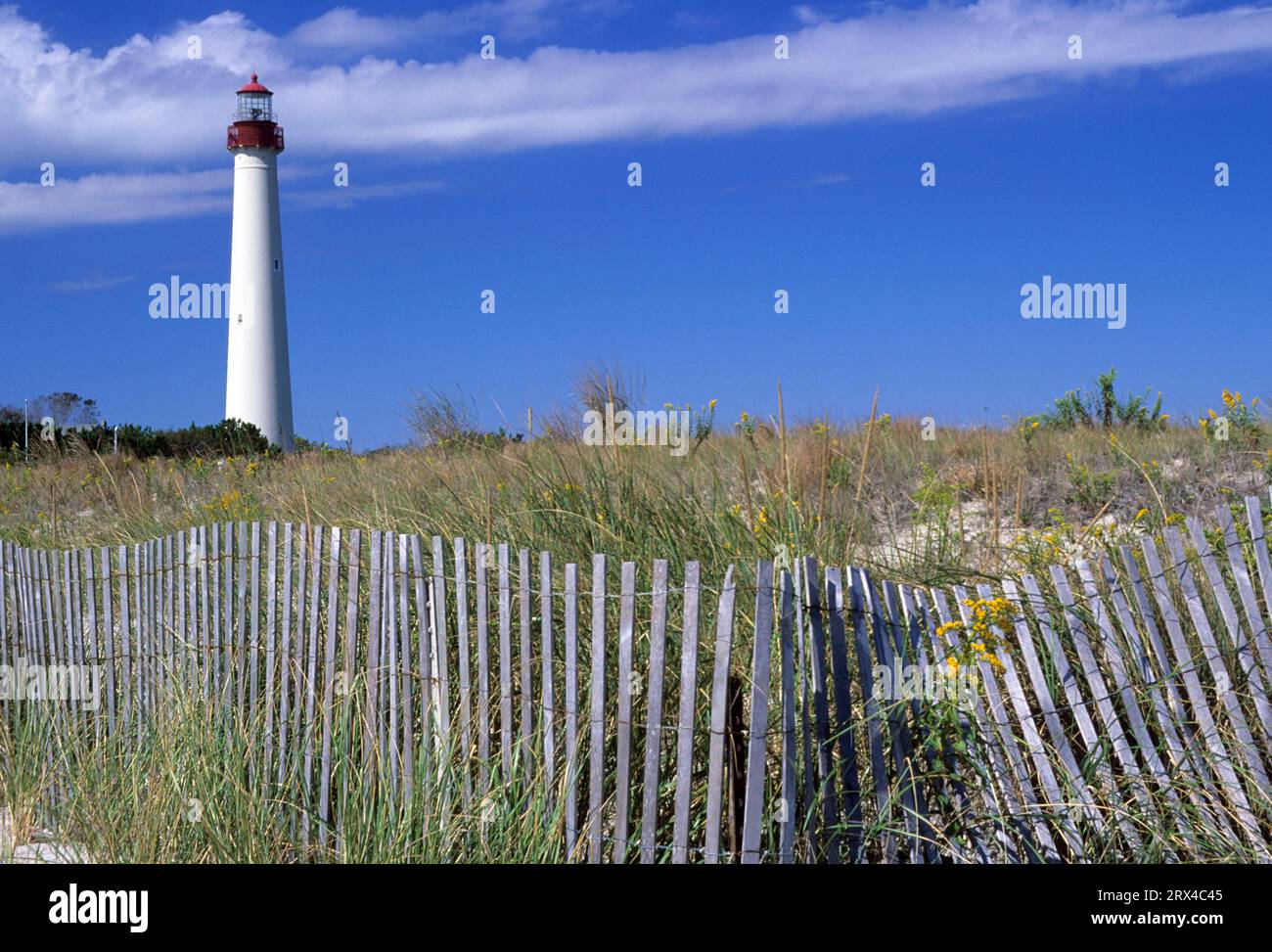 Cape May Lighthouse, Cape May State Park, New Jersey Stock Photo - Alamy