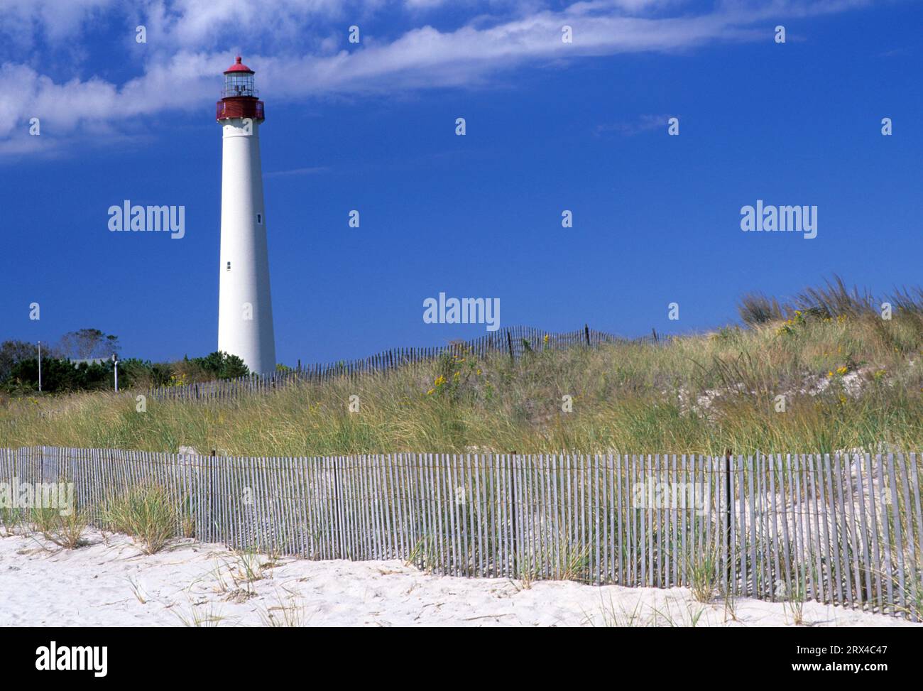 Cape May Lighthouse, Cape May State Park, New Jersey Stock Photo - Alamy