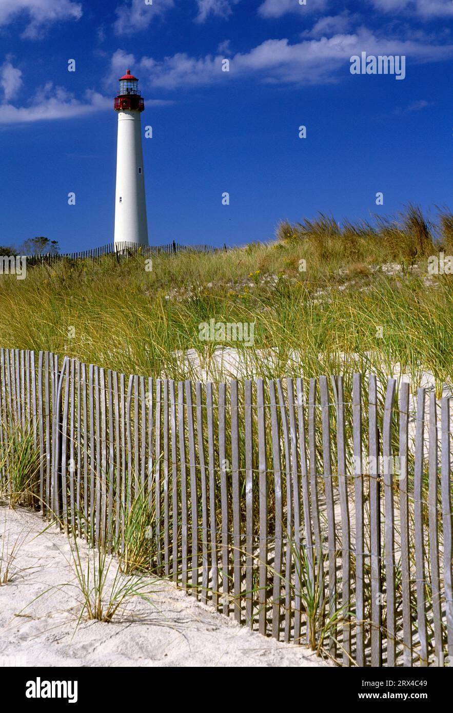 Cape May Lighthouse, Cape May State Park, New Jersey Stock Photo - Alamy